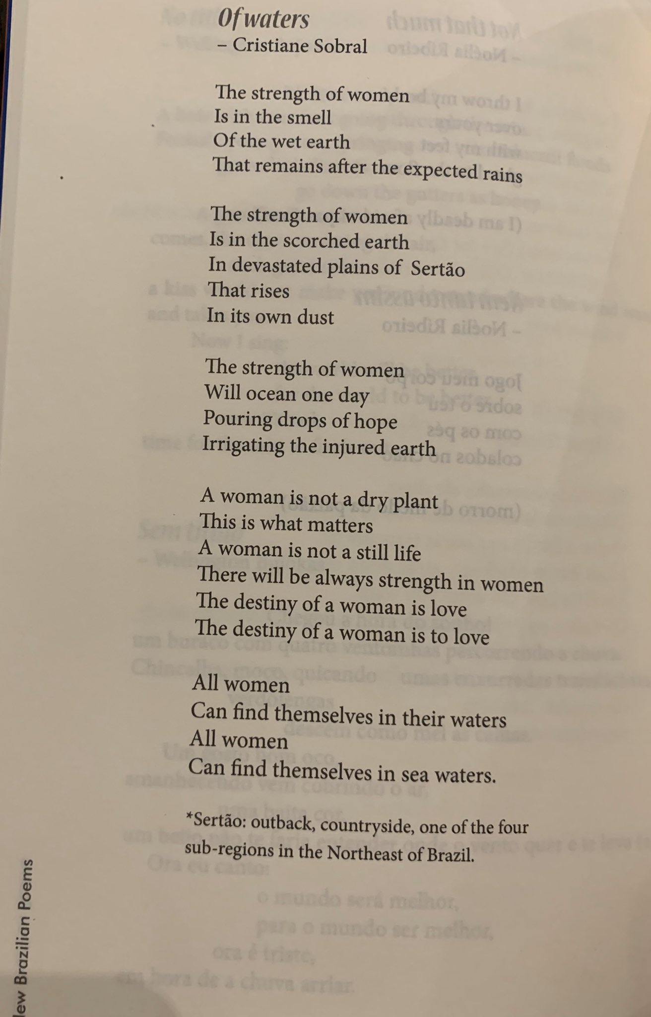 Brazilian Love Poems