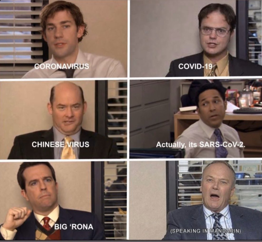 The Office Memes Creed