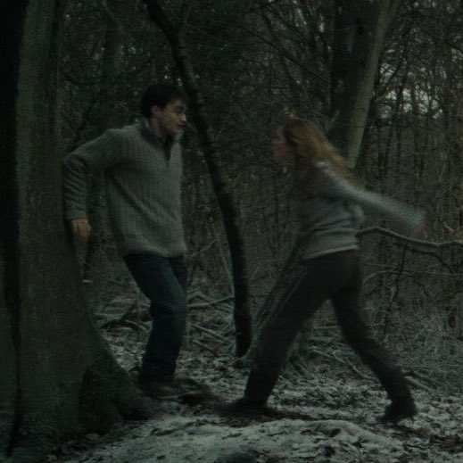 Hermione Granger Fighting