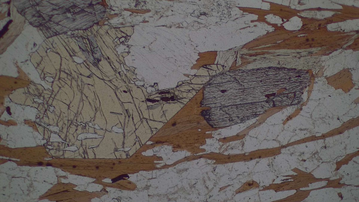 Staurolite Thin Section