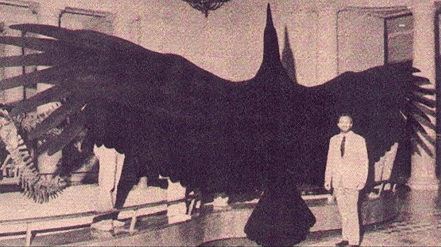 Bridgewater Triangle Creatures