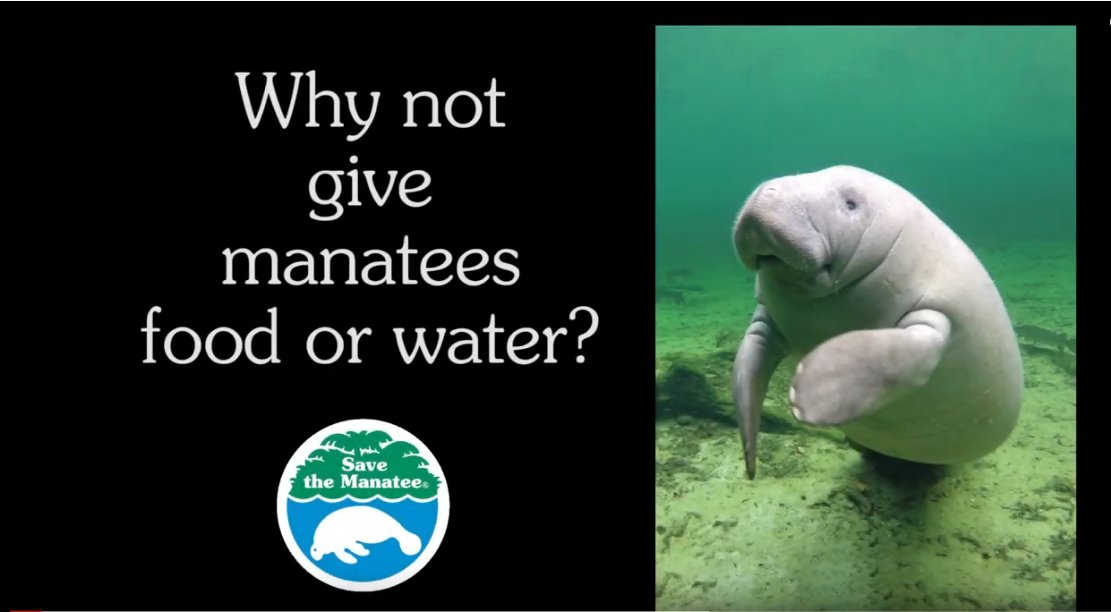 Manatee Food