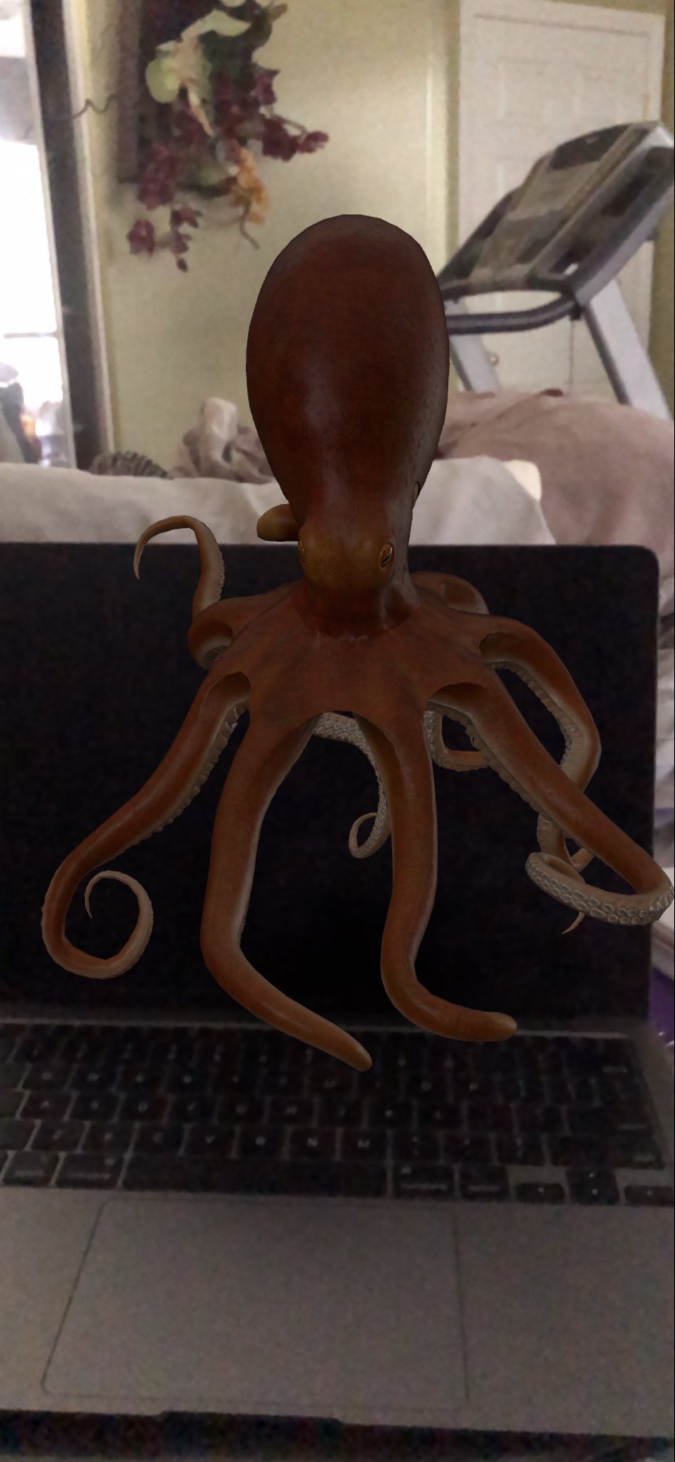 Rubber Octopus Prop