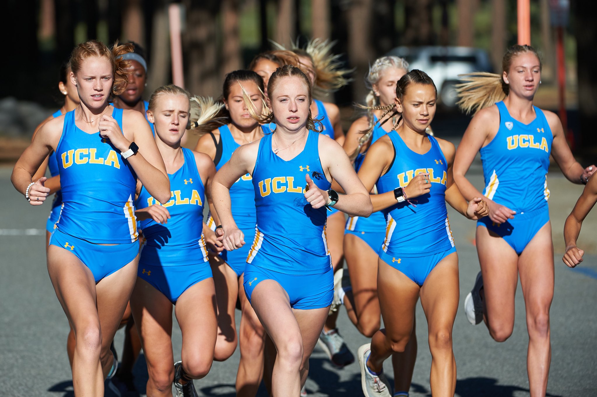UCLA Cross Country on Twitter: "Happy #NationalStudentAthleteDay to all our cross country Bruins ...