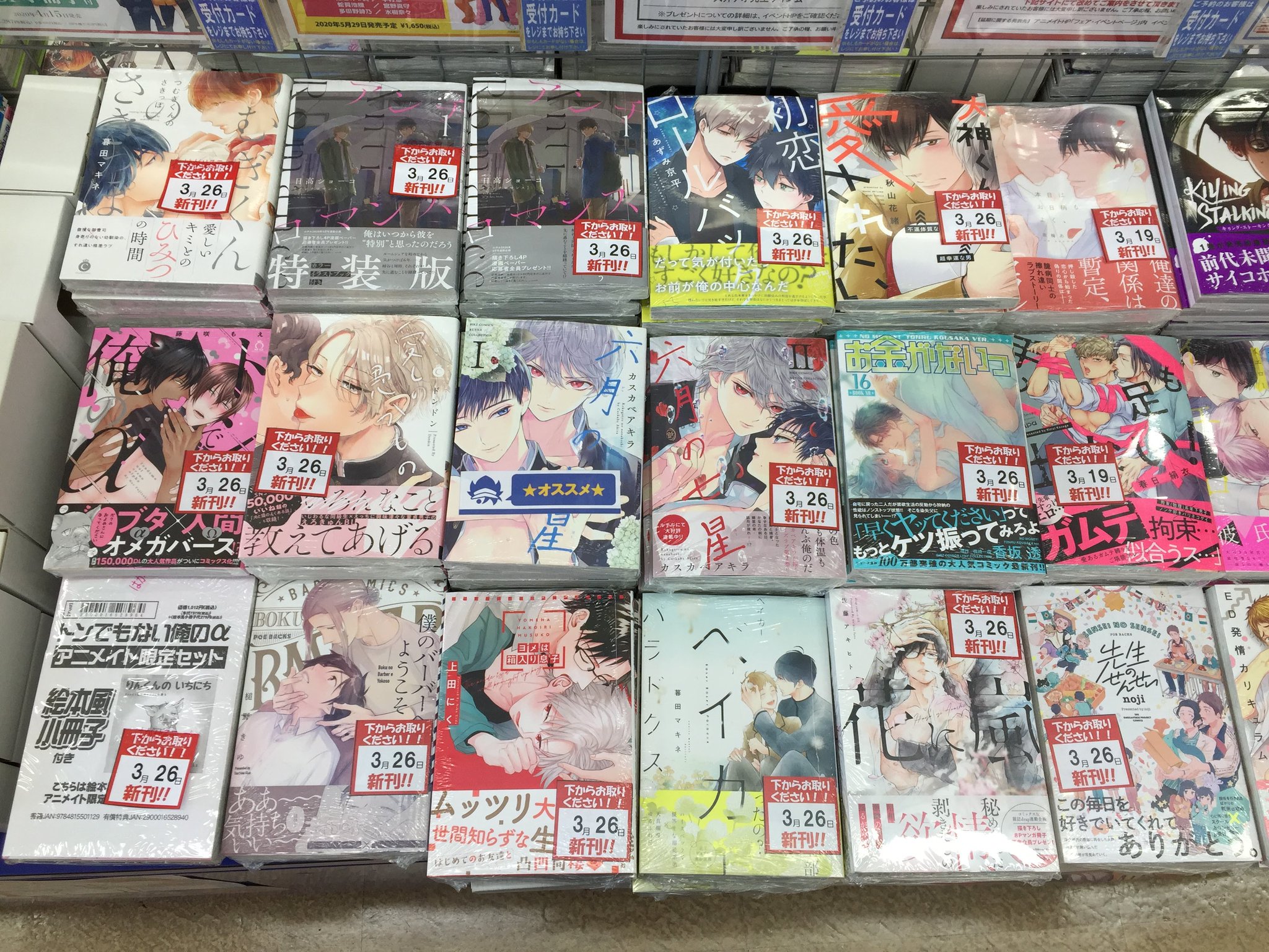 アニメイトフジグラン東広島 On Twitter 【書籍入荷情報】『初恋ロールバック』『六月の七星 2 』『アンチロマンス 1 特装版