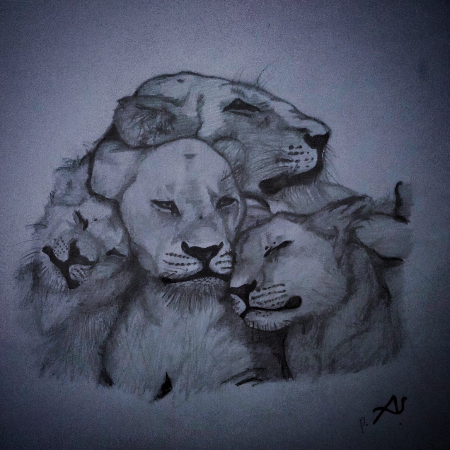 Lion Family Drawing