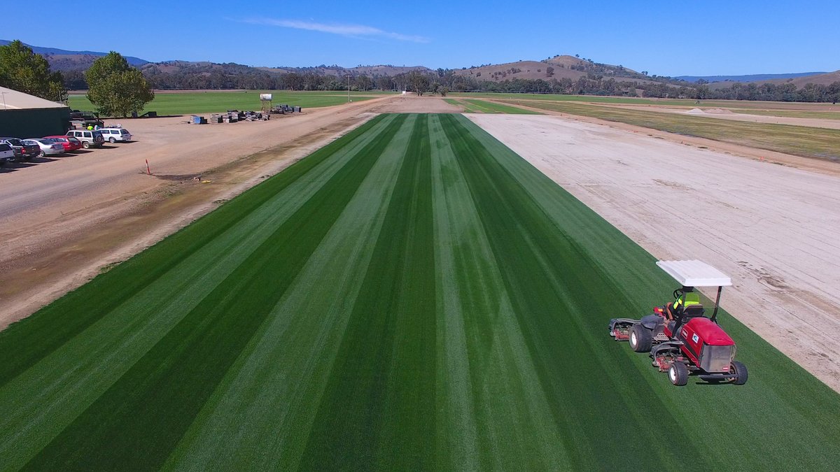 They call it the hallowed turf for a reason ⭐ It takes a mighty effort ...