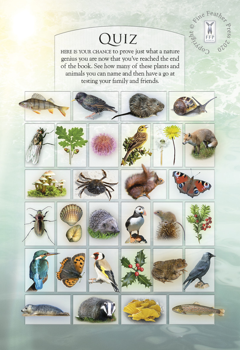 Fine Feather Press on Twitter: "How much of a nature genius are you ...