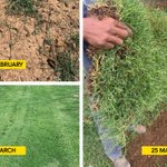 Barenbrug - Make Life Beautiful