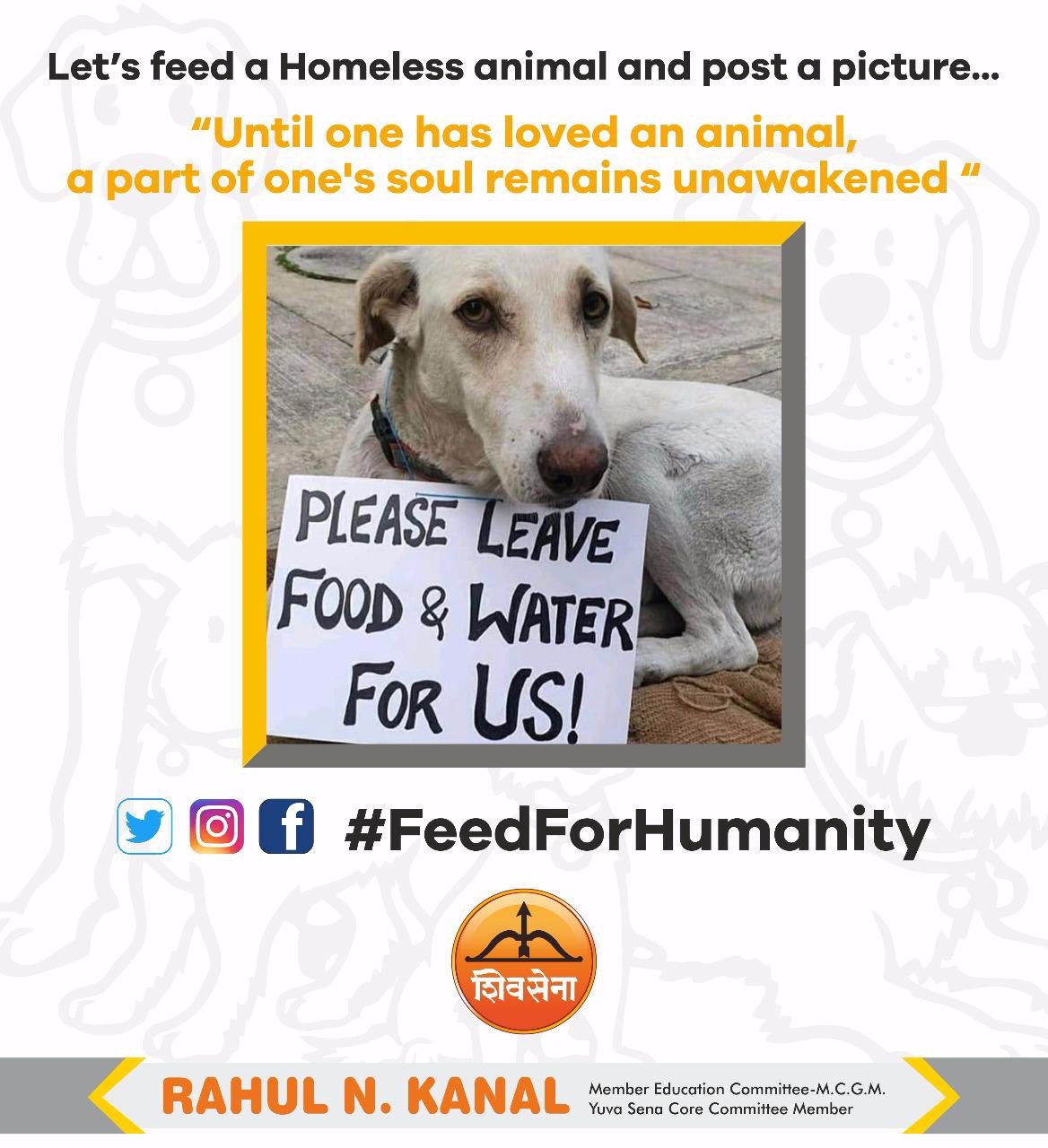 Animal Homelessness Quotes Animal Compassion Everywhere Once You