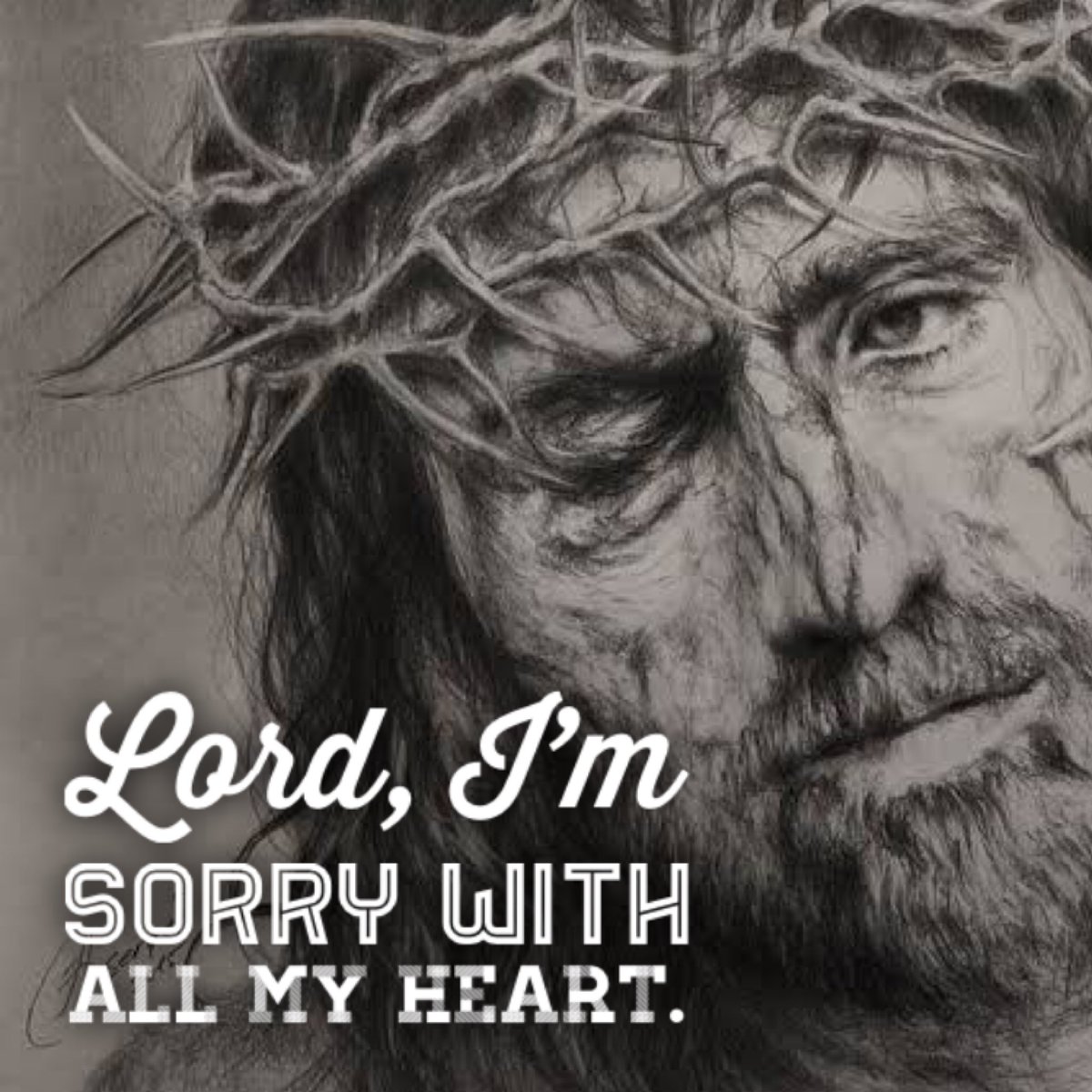 I Am Sorry Lord