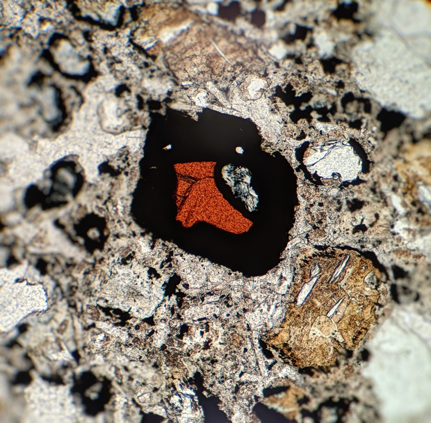 Ilmenite Thin Section