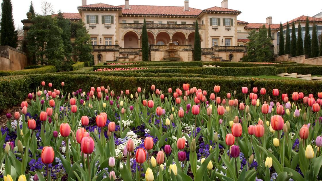 Gallery: Take a break from the news and enjoy pictures from Philbrook's ...