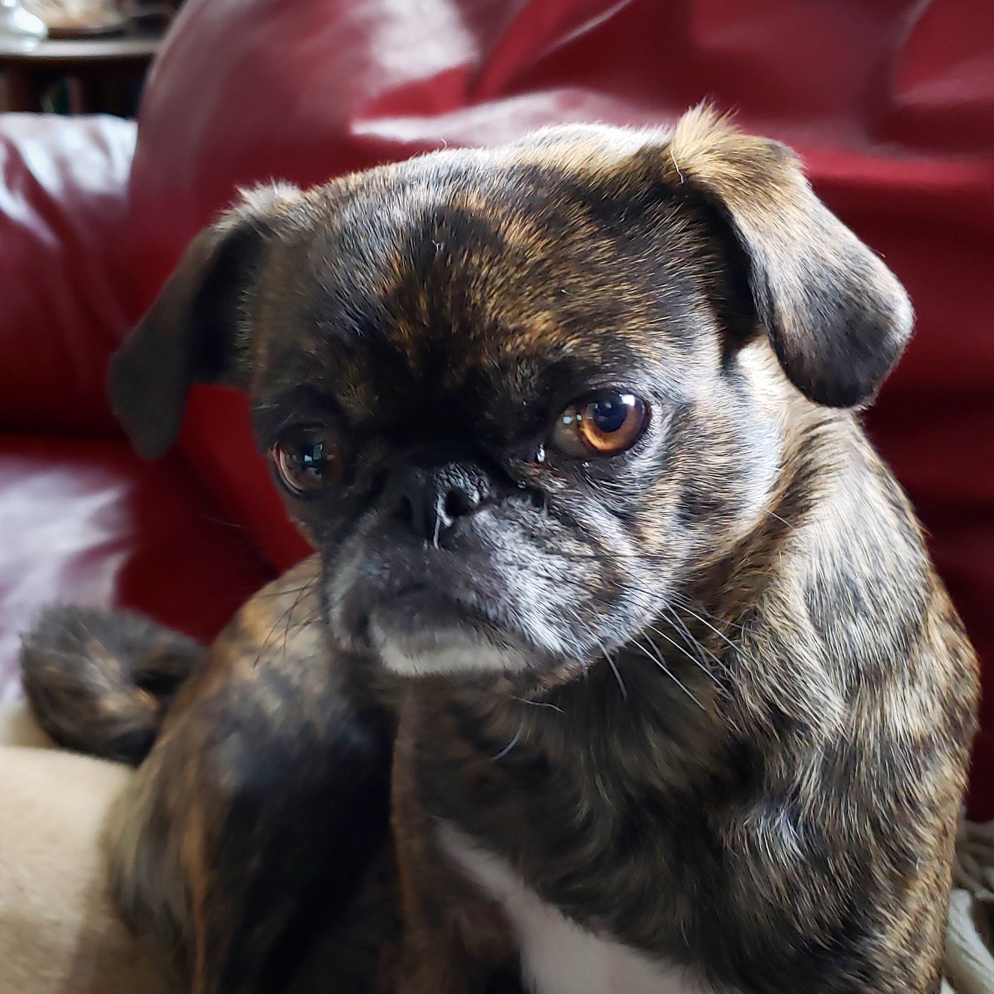 Bah Humpug on Twitter: Bah Humpug on Twitter: