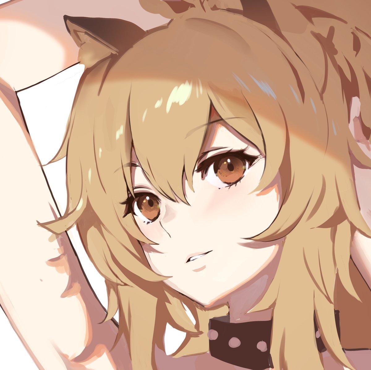 Twoucan - LucidSky🍄