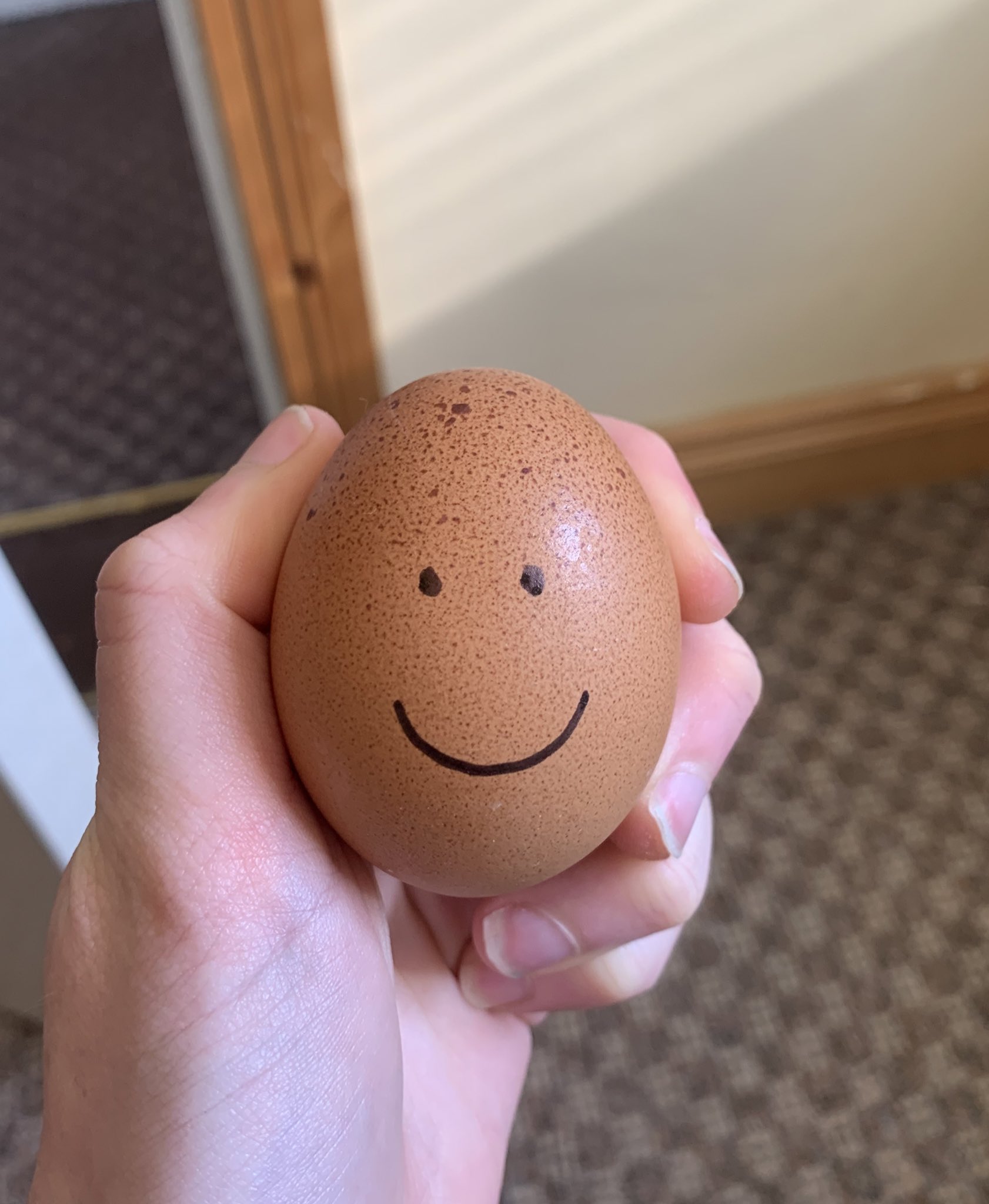 Egg Baby Project Faces