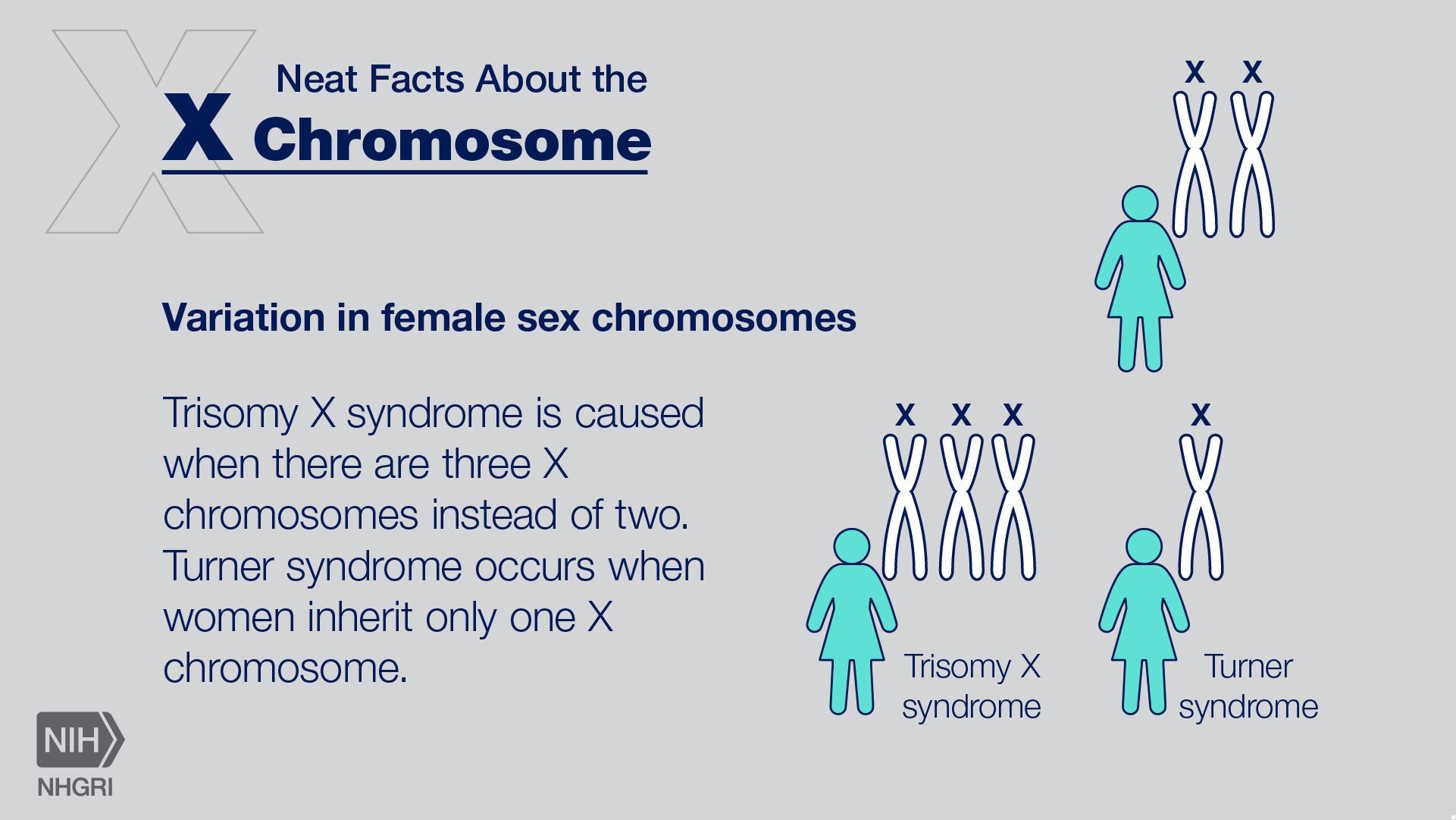 Turner Syndrome Chromosomes