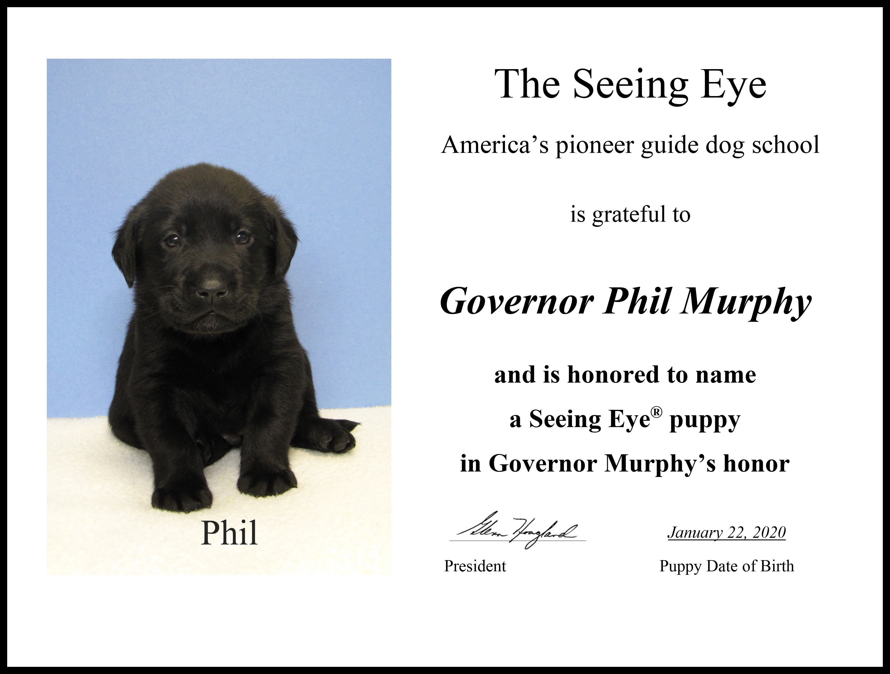 Seeing Eye Dog Puppy