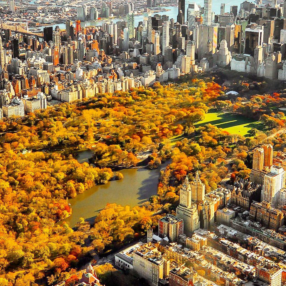 Central Park Fall
