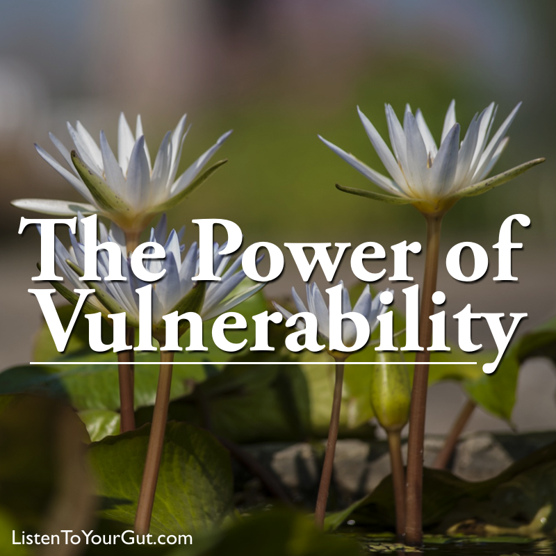 The power of vulnerability book pdf