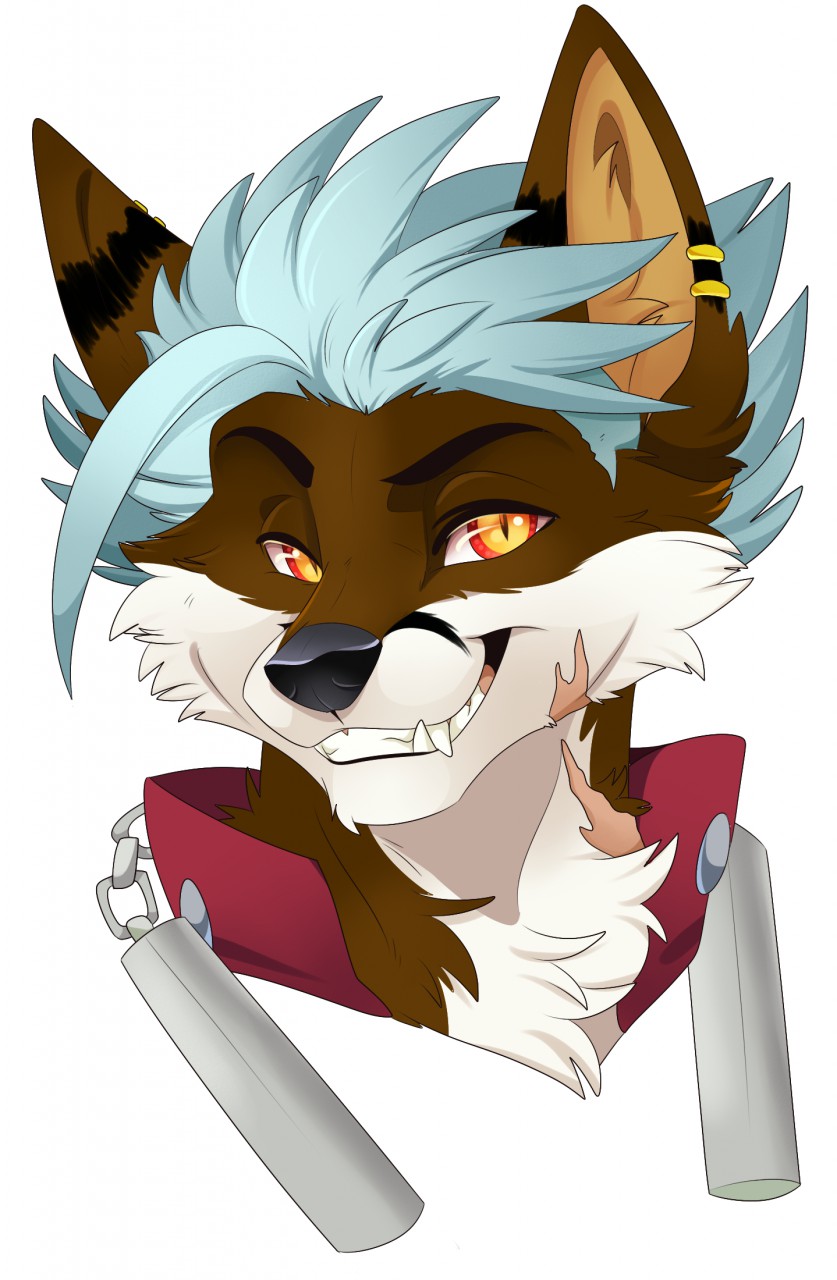 Wolf And Fox Furries