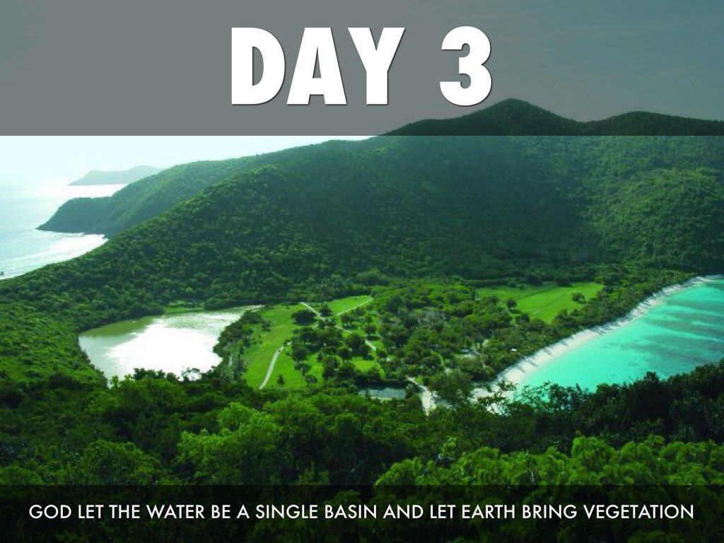 Day 3 Of Creation