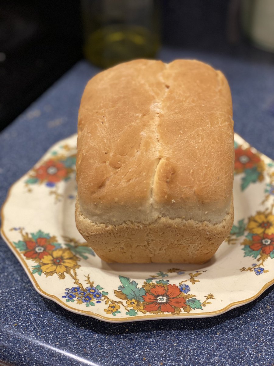 My daughter makes a second, very successful pass at “salt rising bread ...
