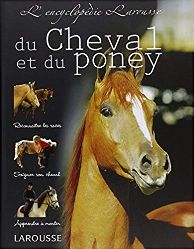 des chevals accepté