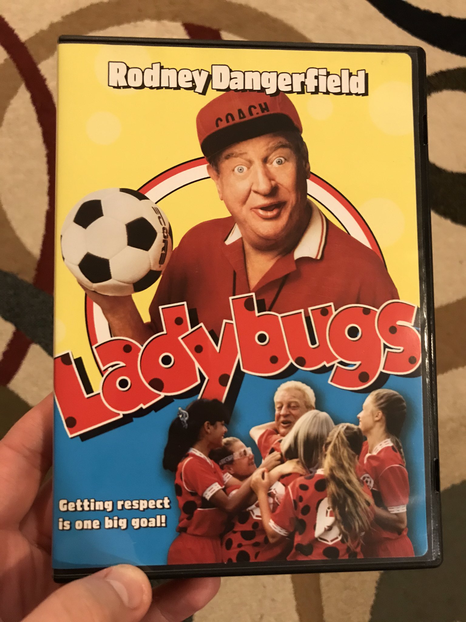 Ladybugs Movie Poster