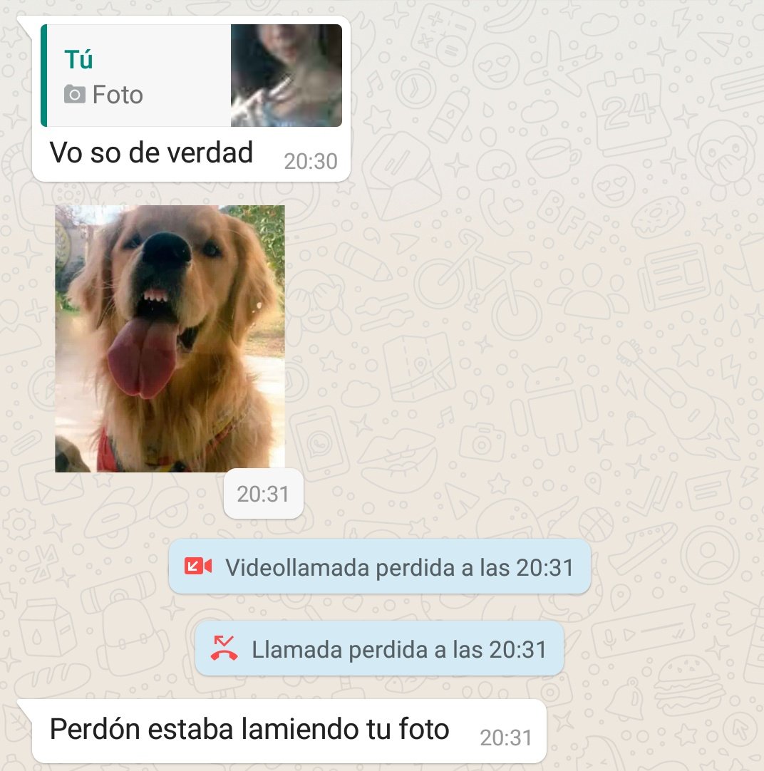 Lamiendo La Pantalla Memes