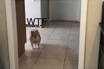 Ice Assassin X on Twitter: "God coming back to check on earth after taking a 3 months off…