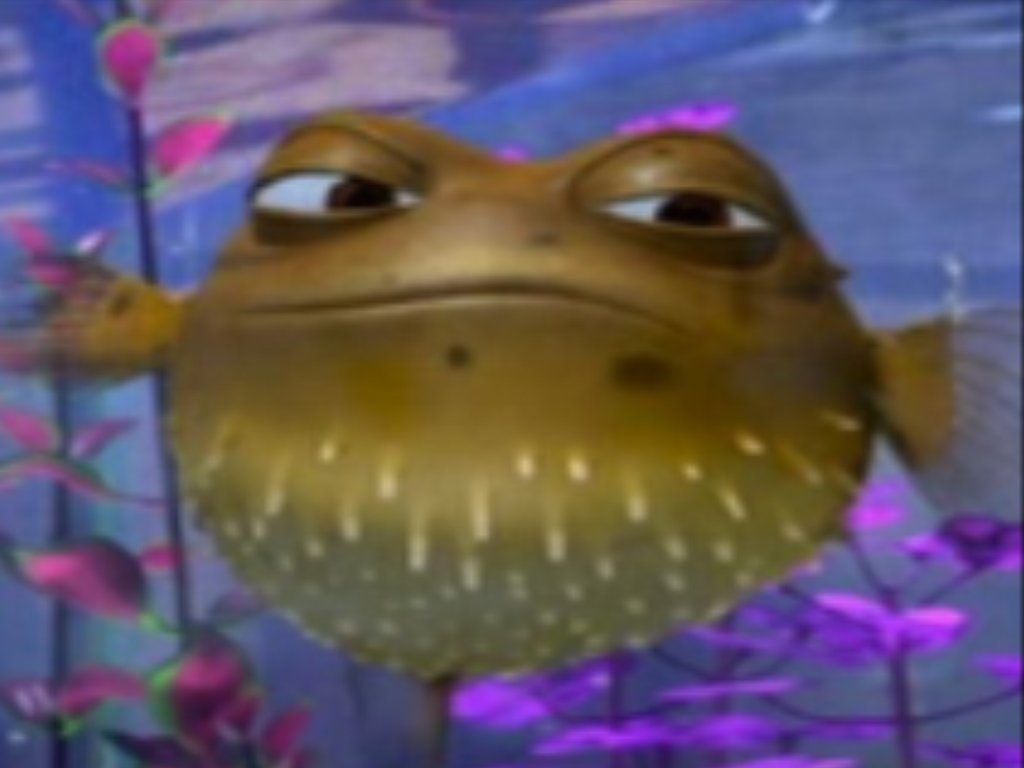 Bloat Finding Nemo Gif