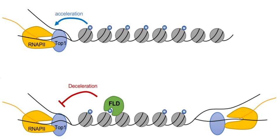 Graduate programs and internships in the UK