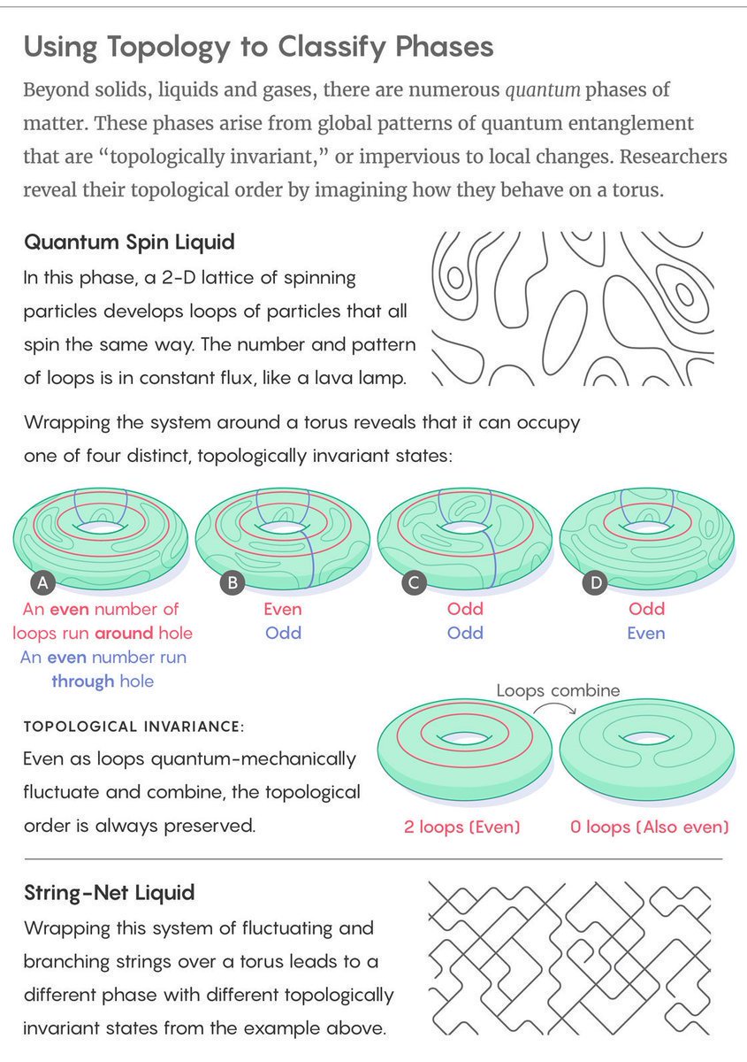 From the archives: Topology — a branch of math used to describe ...