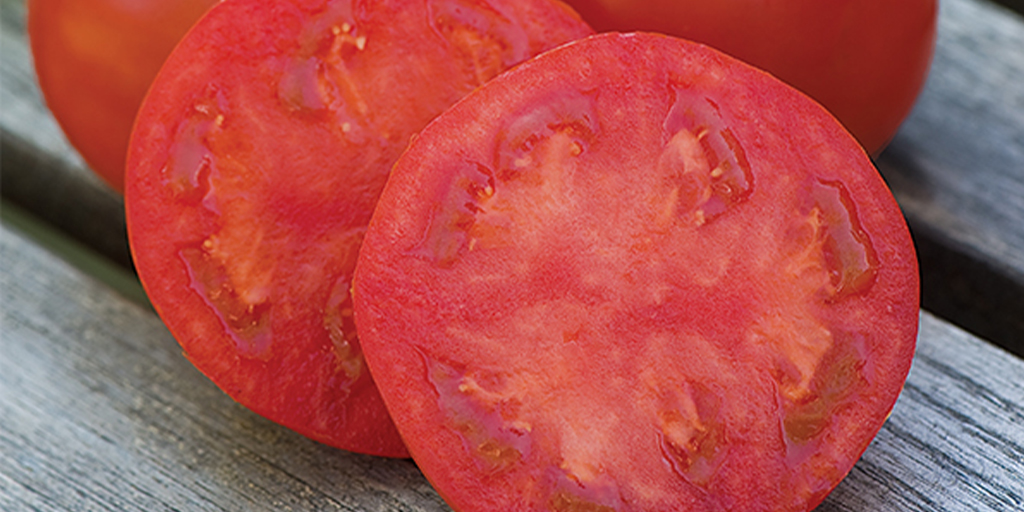 Seedless Tomatoes Fireworks Tomato