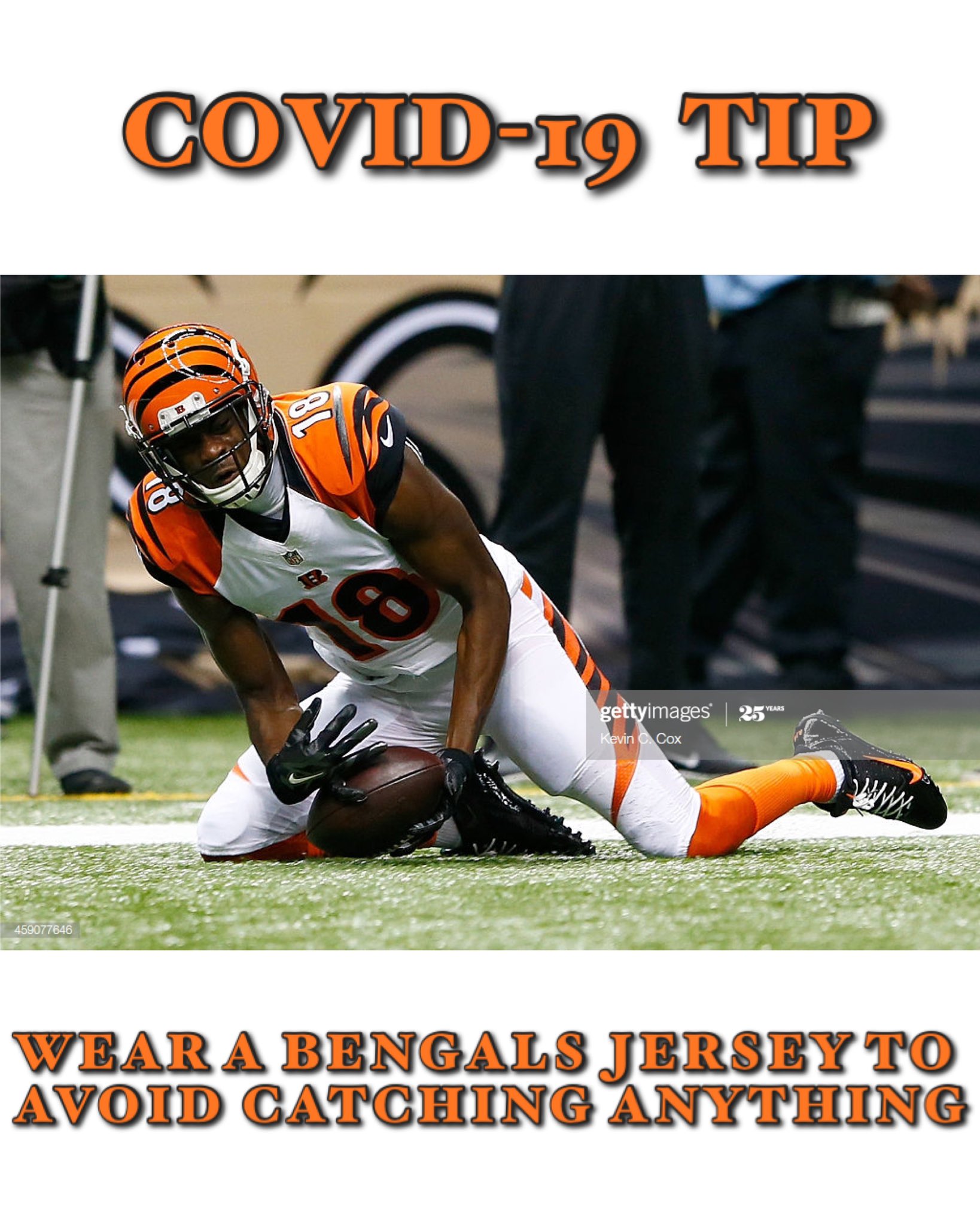 Anti Bengals Memes Cincinnati Bengals NFL Christmas Grinch I Hate