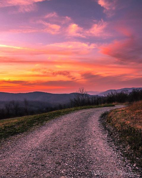 Beautiful Dirt Road