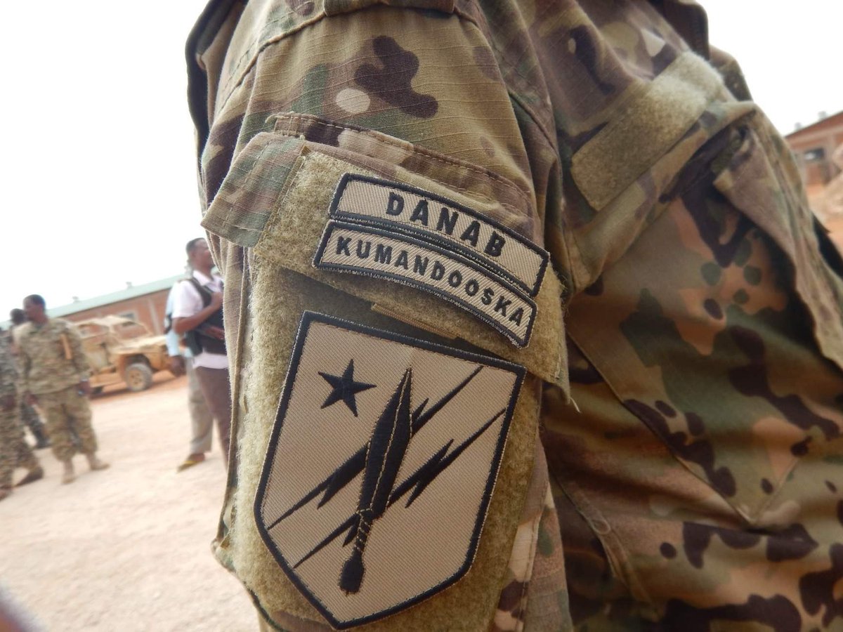 القوات المسلحة الوطنية الصومالية. القائد الأعلى لكافة القوات العسكرية ...