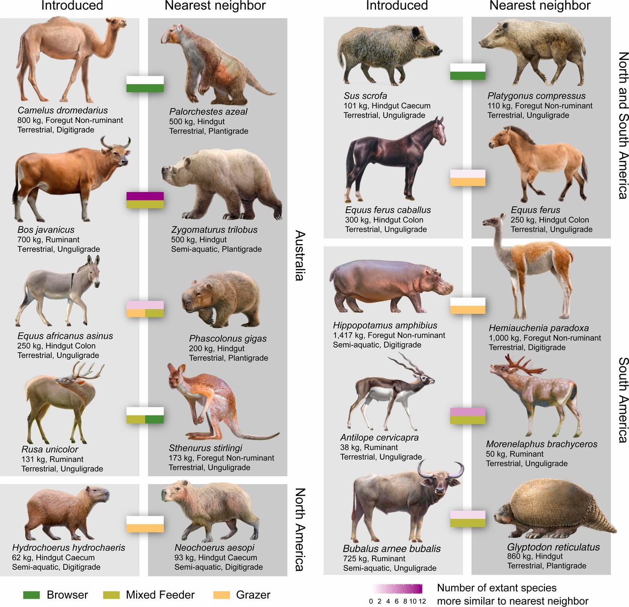 Herbivorous Animals Chart
