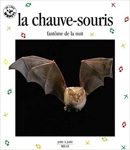 opéra la chauve souris