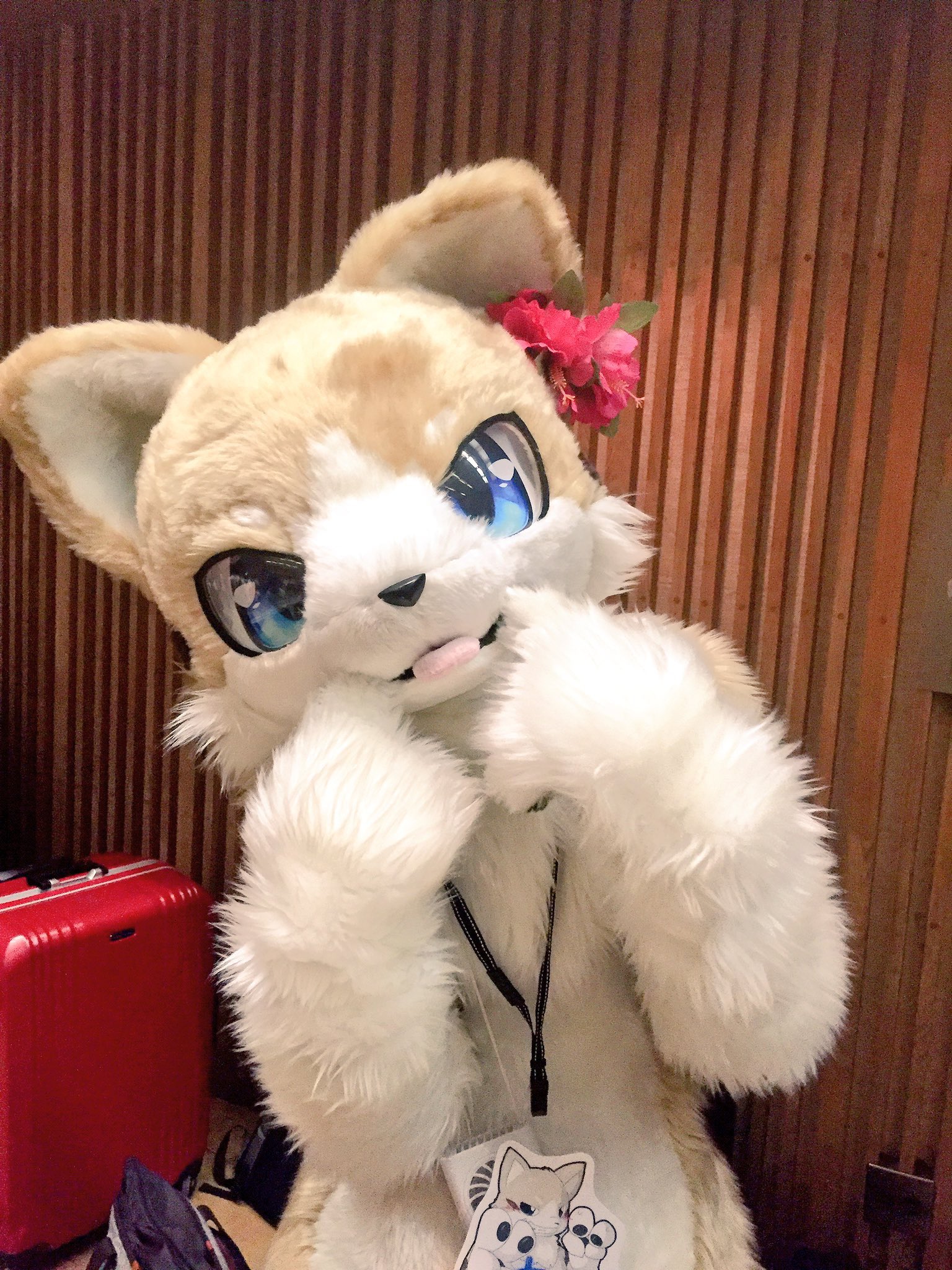 百舌鳥 on Twitter: "@Syla_iwac 大人になったマカロも堪能して🥰" / Twitter