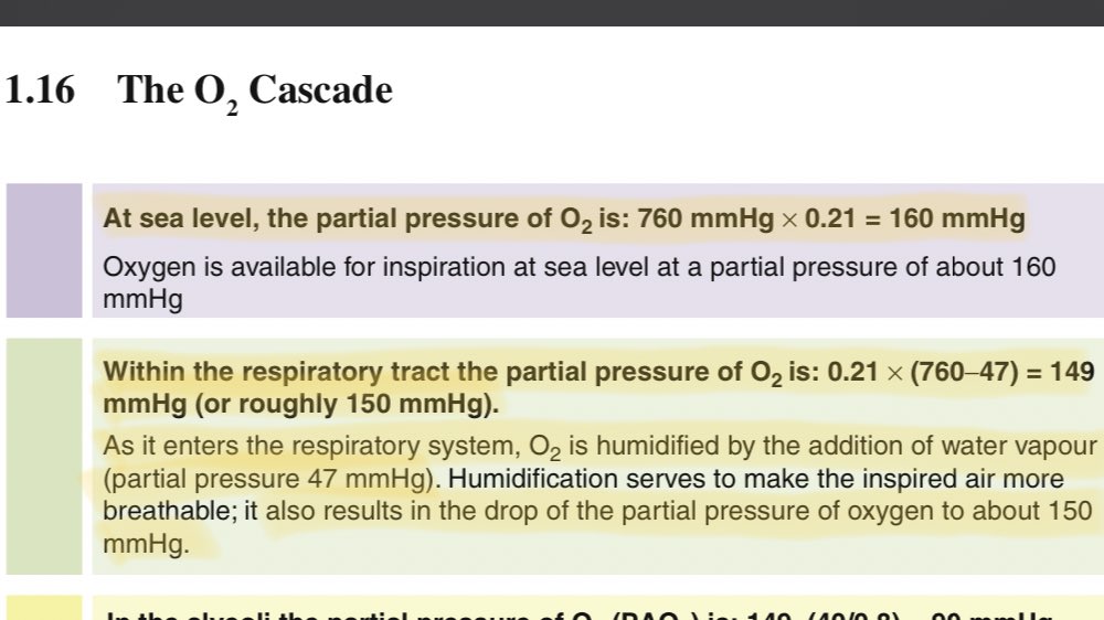 〽️¿Cual es la Presión Parcial de O2 (PO2) en Guadalajara? 🩺Las ...