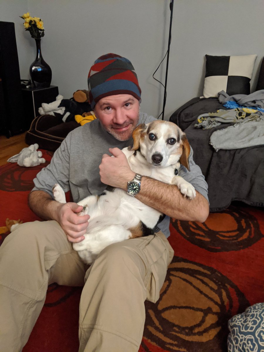 Are Beagles Good Lap Dogs