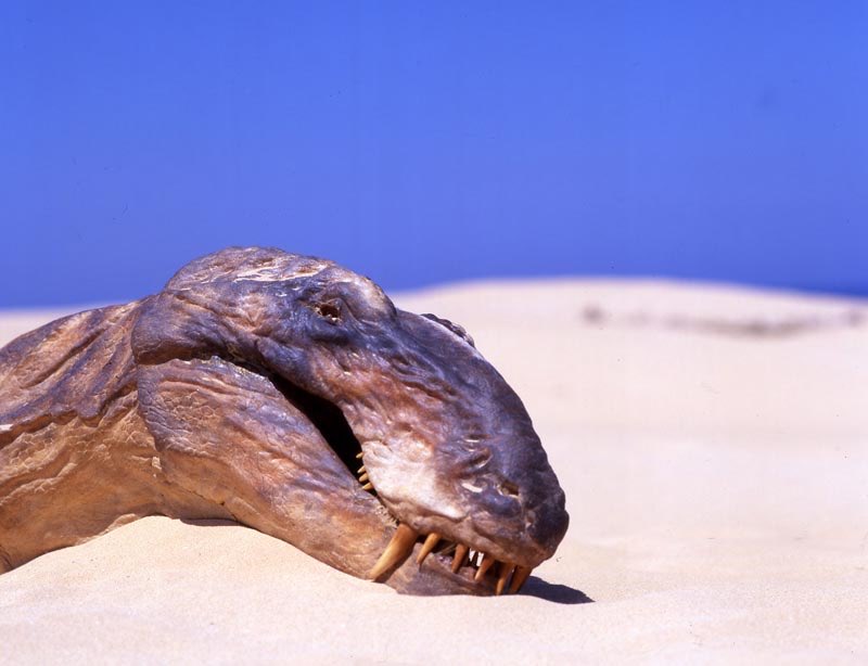 Proterosuchus Walking With Monsters