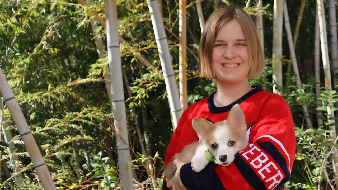 MULTILINGIRL🌳20言語勉強中のノマド on Twitter: "@germanintokyo 確か、英語圏で調べたんですけど、 フランス語よりもドイツ語の方が話せたらかっこいい外国 ...