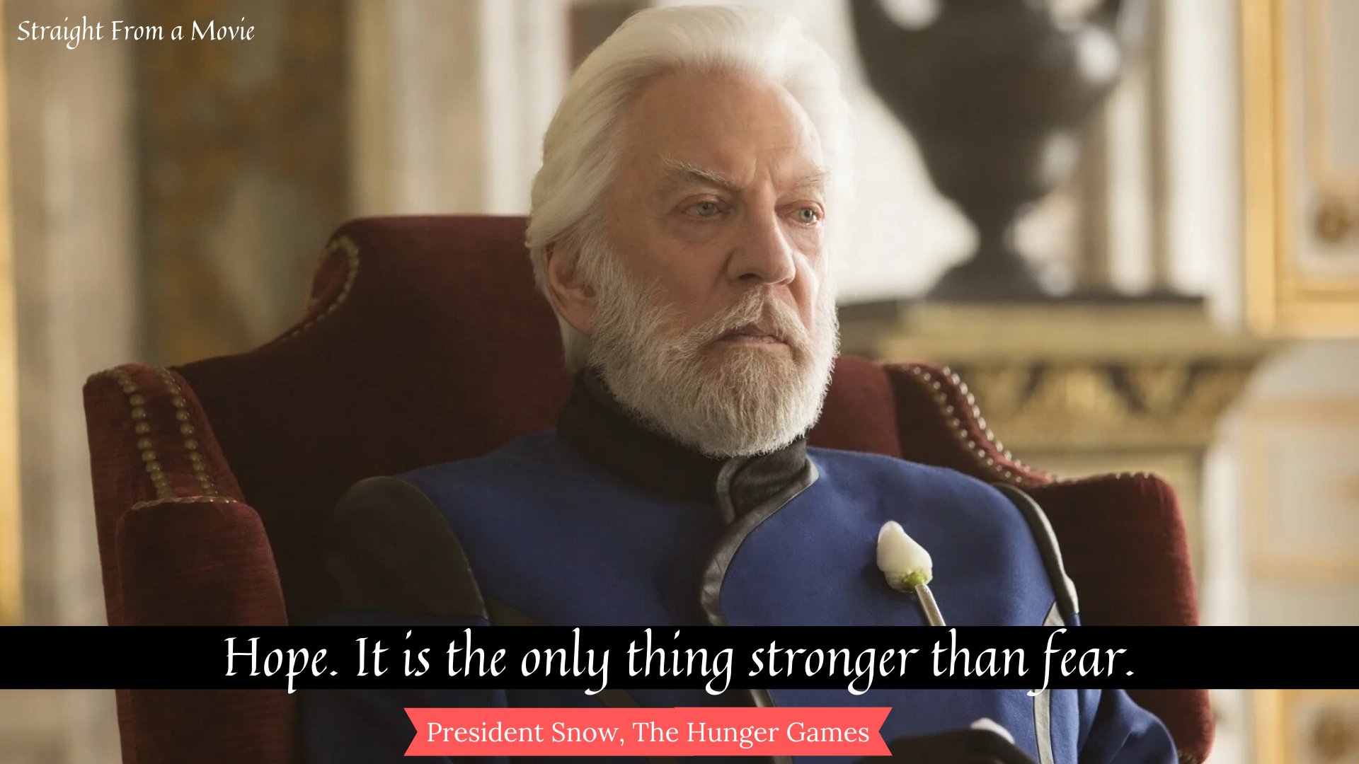 Hunger Games Hope Quote