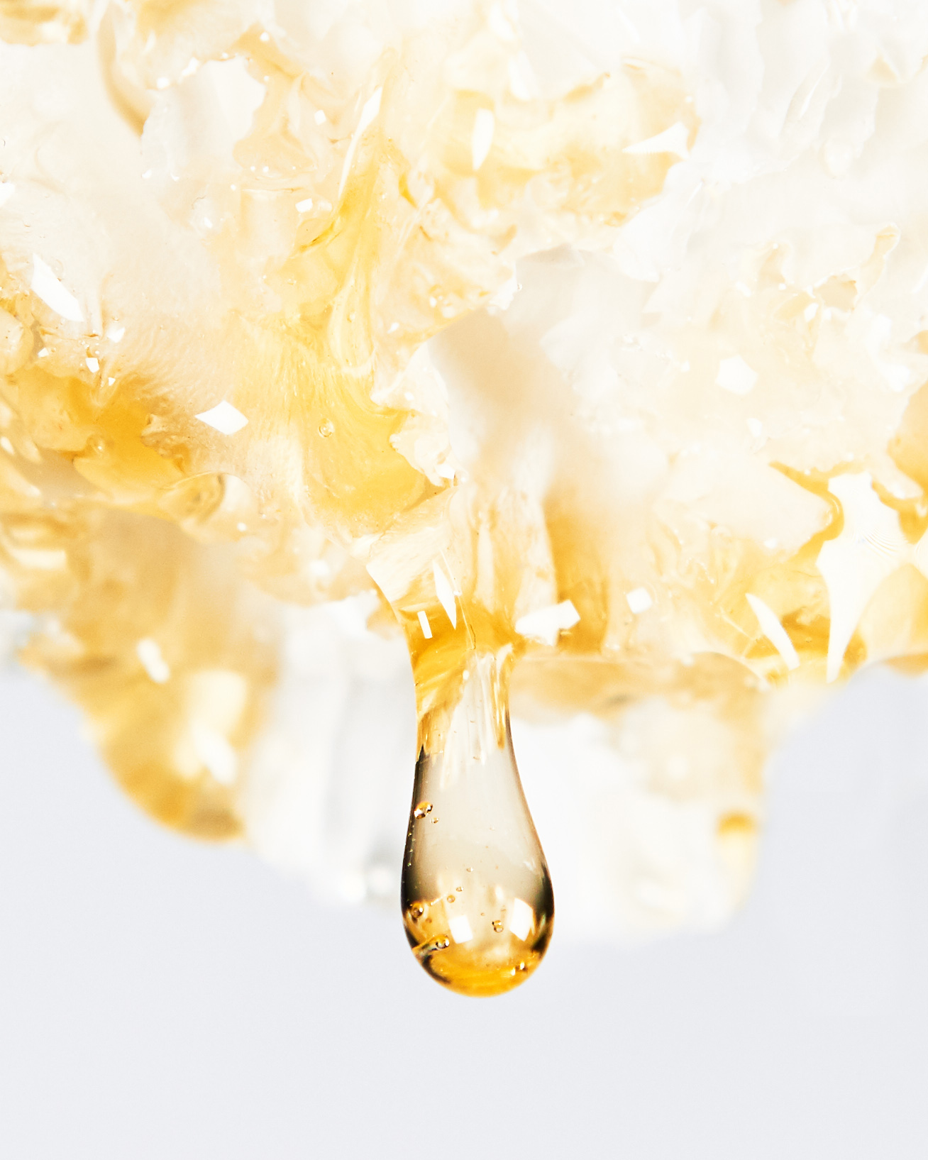 HACCI official on Twitter: "栄養たっぷりで、心身ともに癒してくれるはちみつ。 ウイルスや寒暖差に負けないために、今こそみつばち達からの恵みをいただきましょう ...