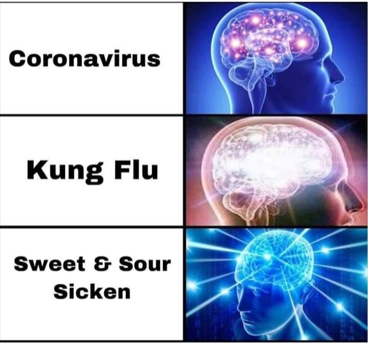 Flu Meme