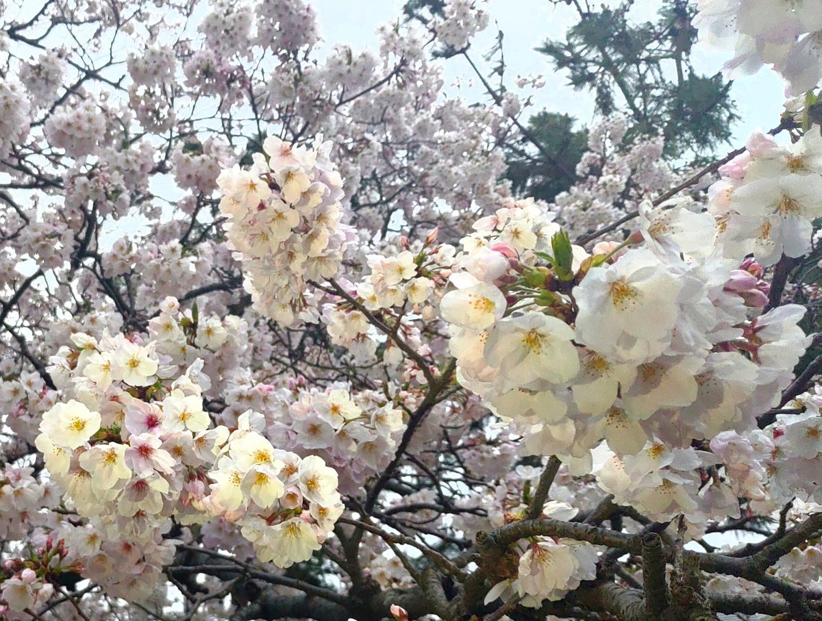 #ヤッターマンコーヒーライター hashtag on Twitter