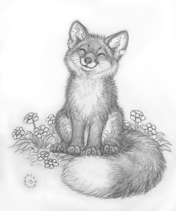 How To Draw A Realistic Sitting Fox